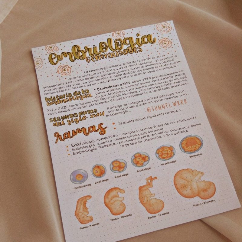 🥇 Melhores livros de Embriologia de 2025: sugestão e ofertas